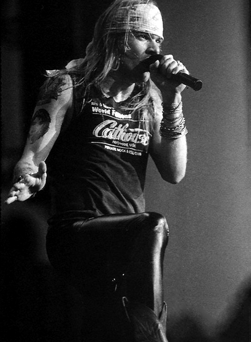 Picture of Axl Rose