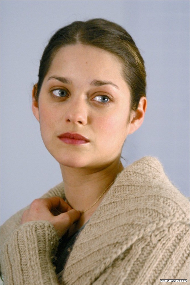 Picture of Marion Cotillard