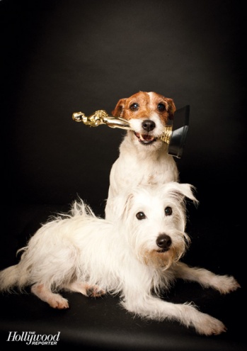 Uggie image