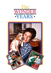Picture of The Wonder Years