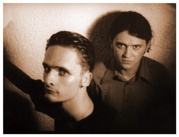 Picture of Perfidious Words