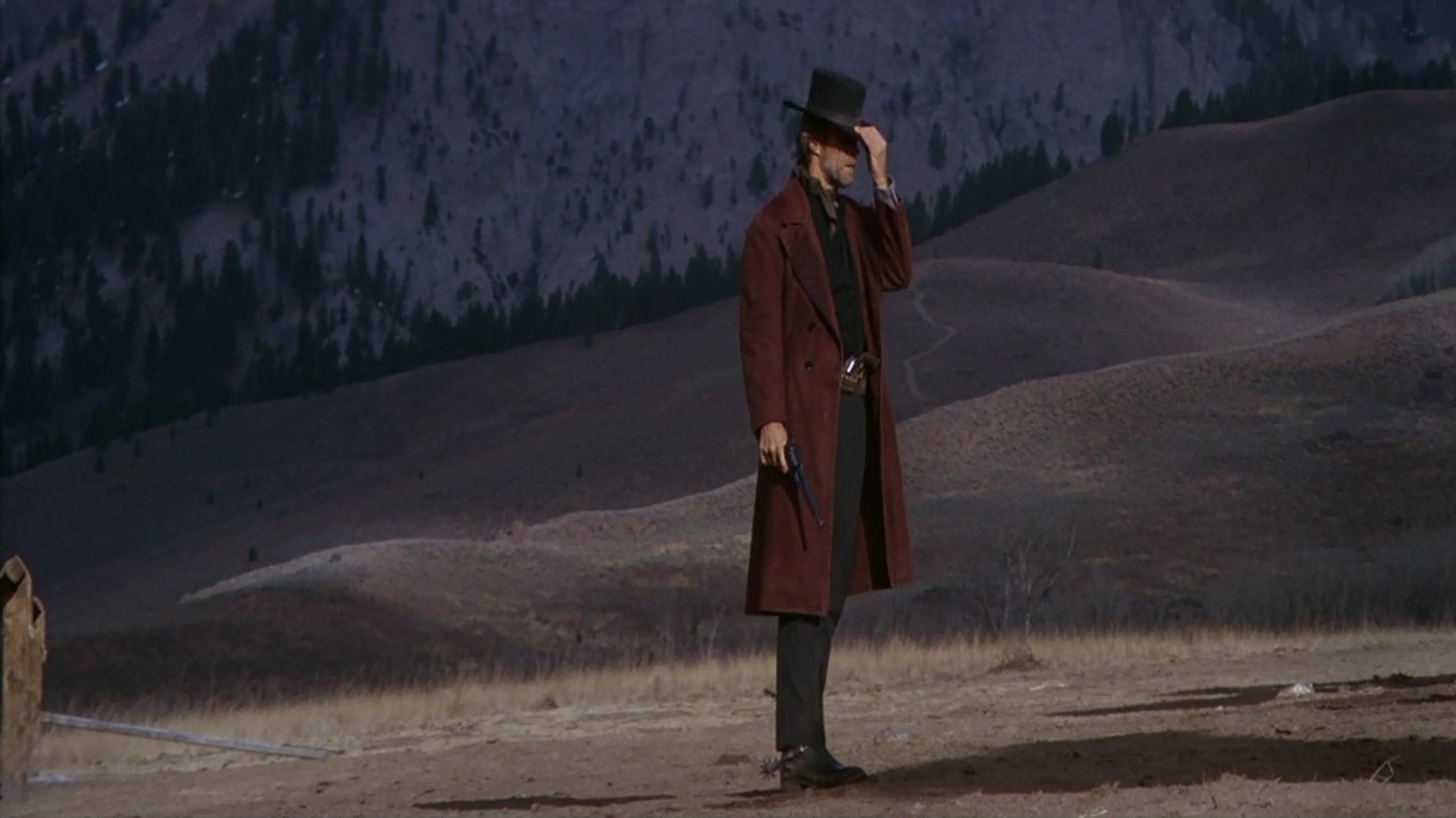 Picture of Pale Rider