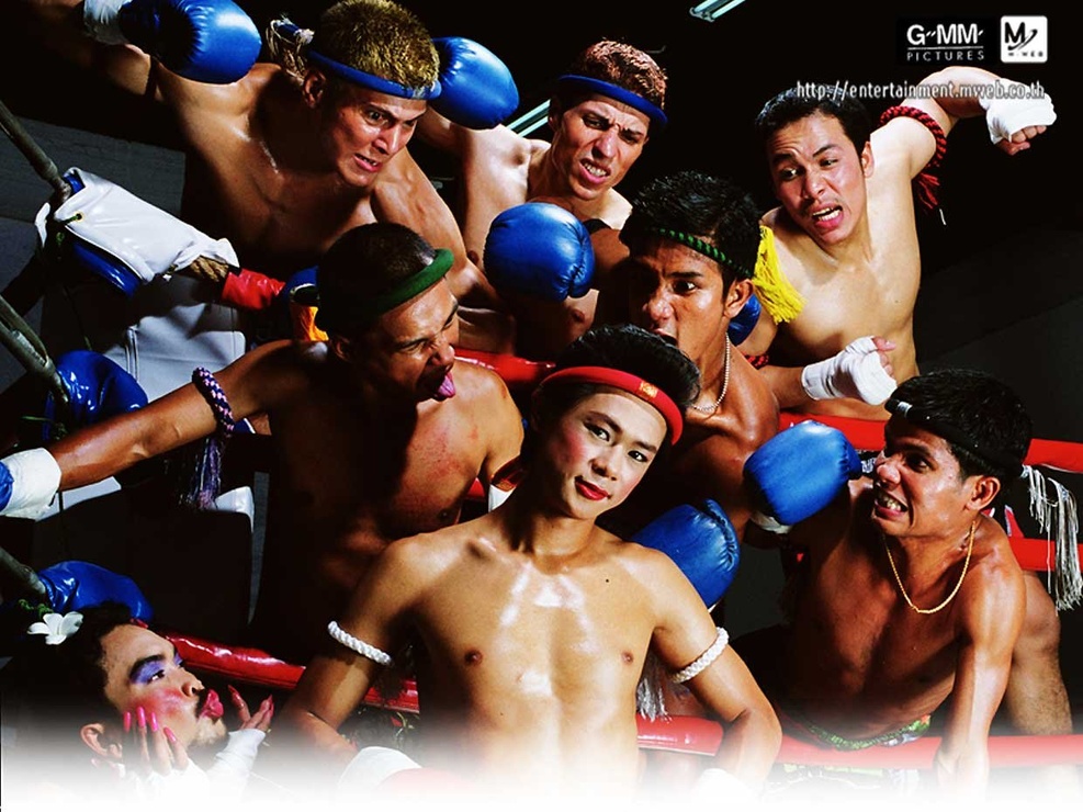 Image of Beautiful Boxer