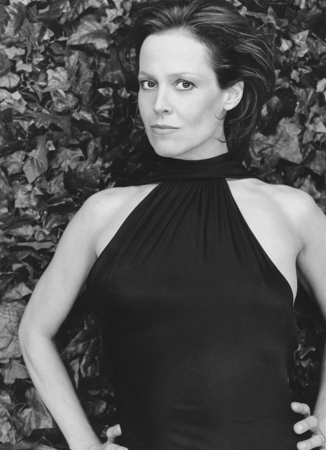 Picture of Sigourney Weaver