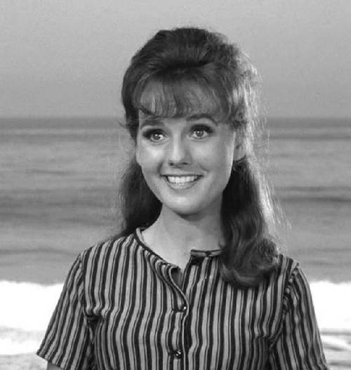 Picture of Dawn Wells