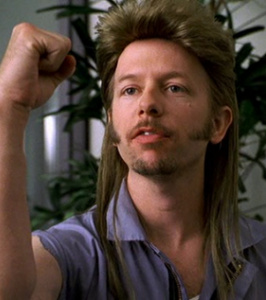 Picture of Joe Dirt