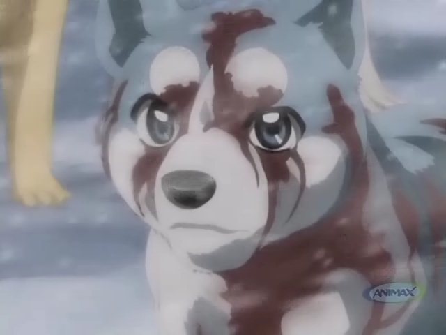 Picture of Ginga Densetsu Weed