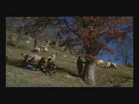 Picture of Lassie (1994)