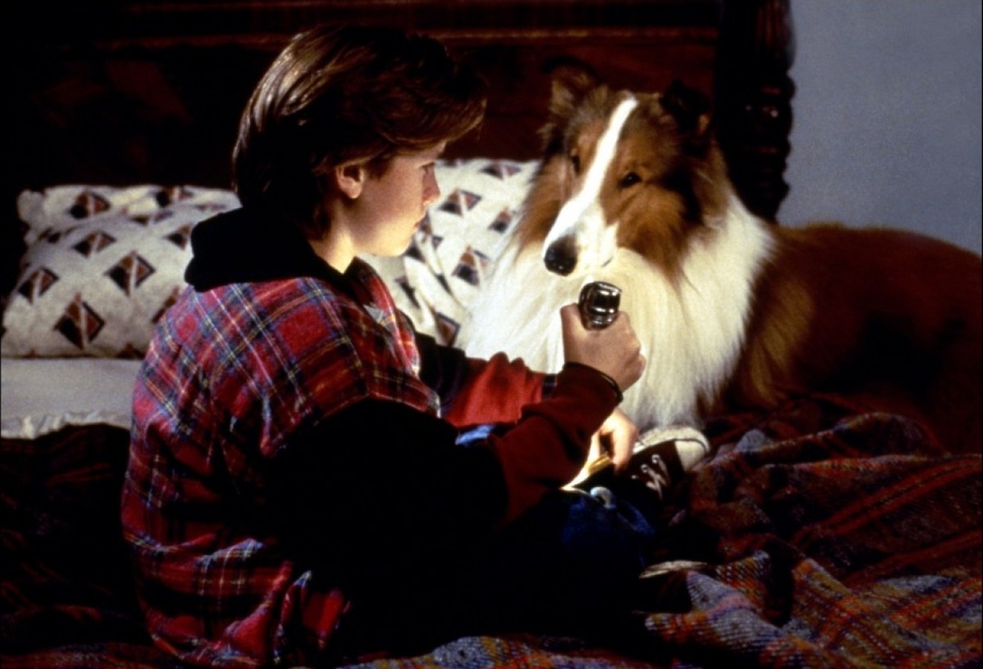 Image of Lassie (1994)