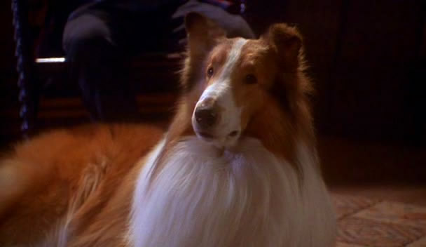 Picture of Lassie (1994)