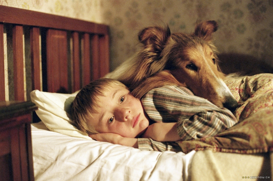 Lassie image