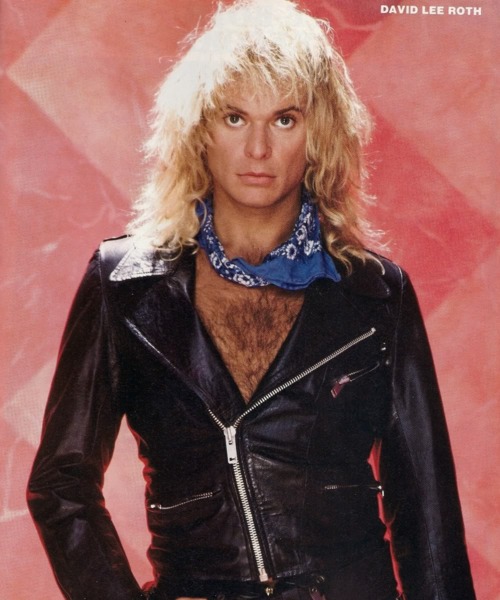 David Lee Roth image