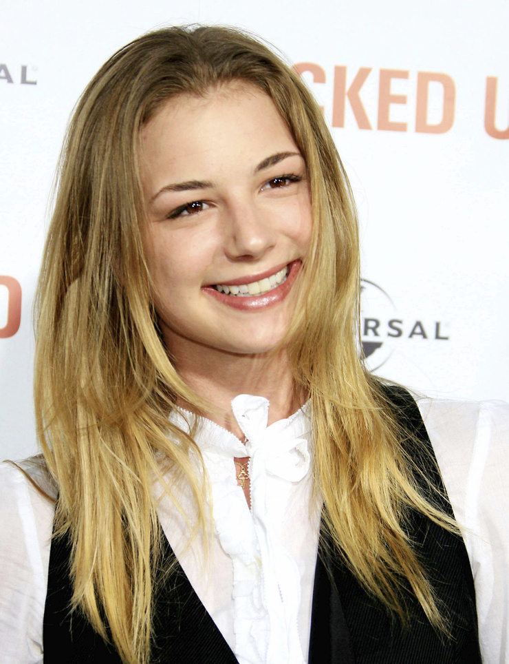 Picture of Emily VanCamp