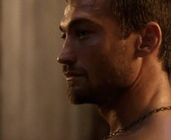 Picture of Andy Whitfield