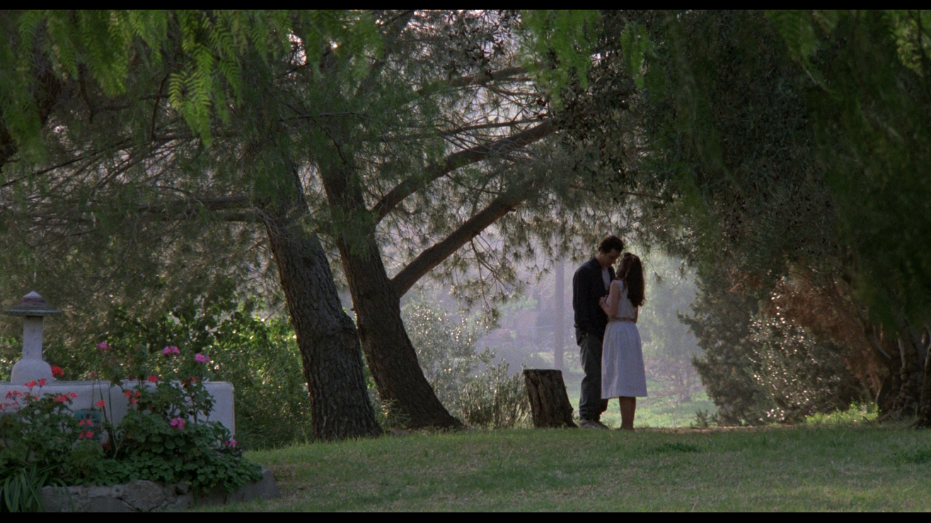 Picture of Say Anything...