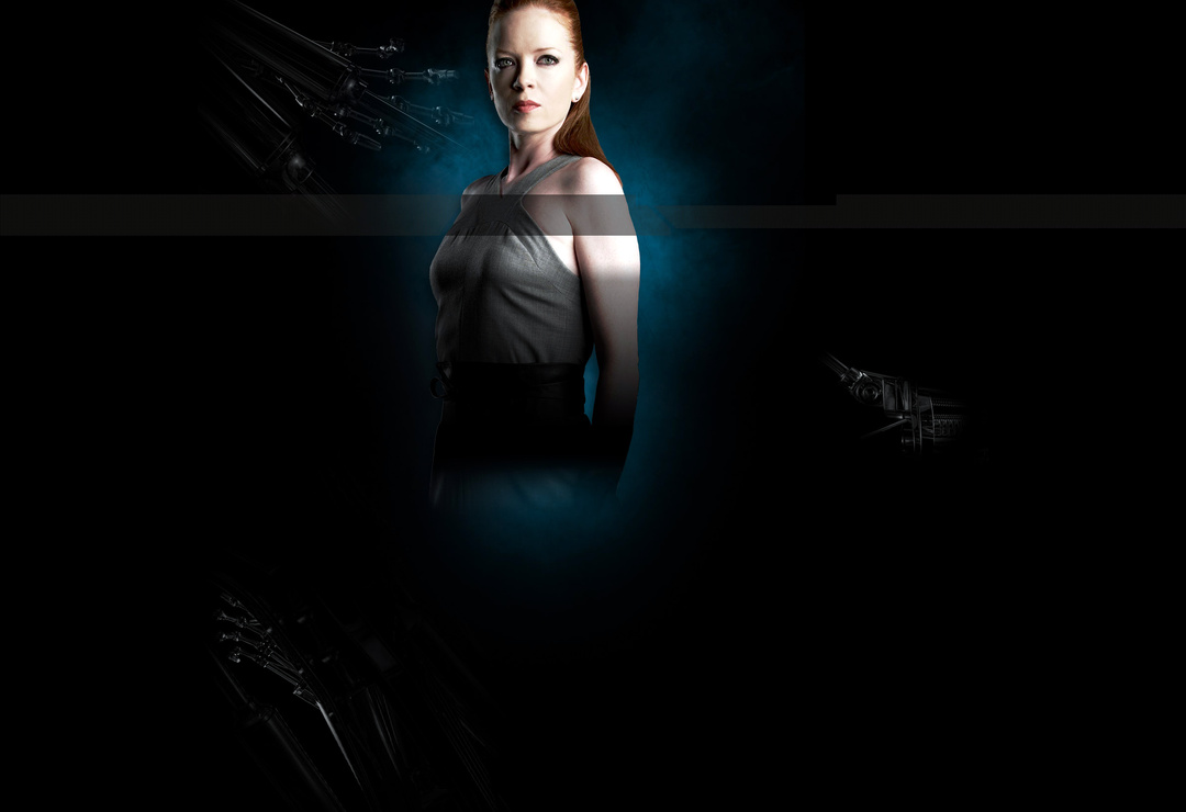 Terminator: The Sarah Connor Chronicles picture