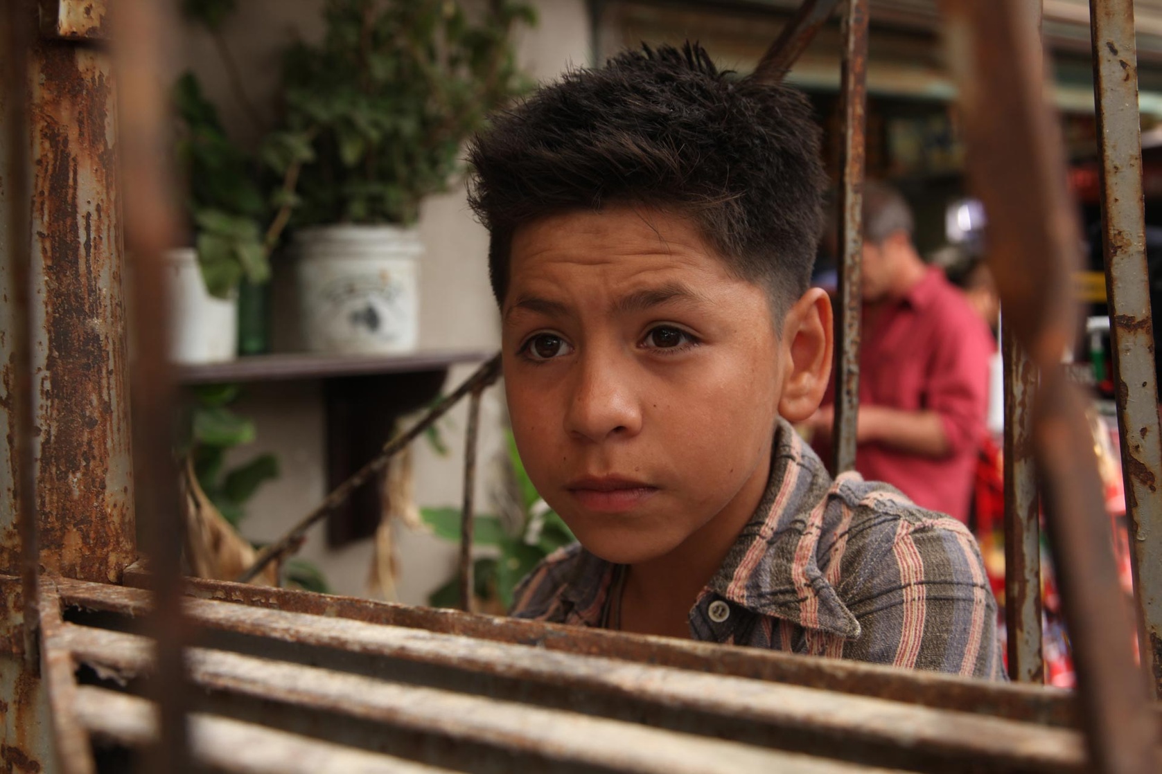 Image of Get the Gringo