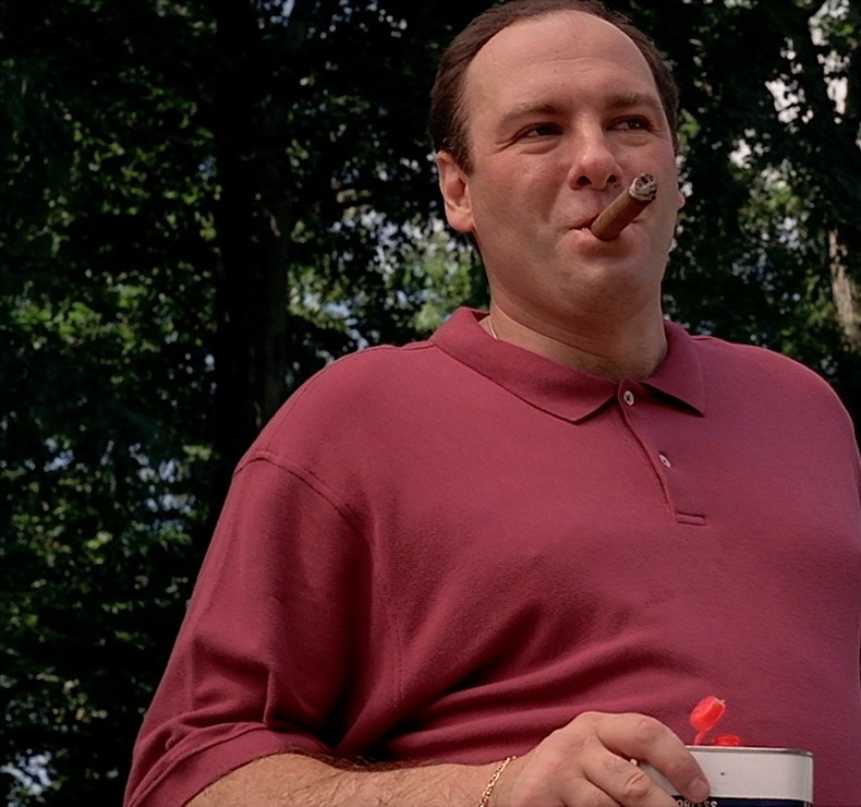 The Sopranos picture