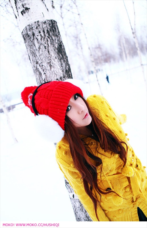 Picture of Hu Shi Qi