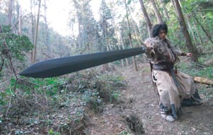 Picture of The Sword of Alexander