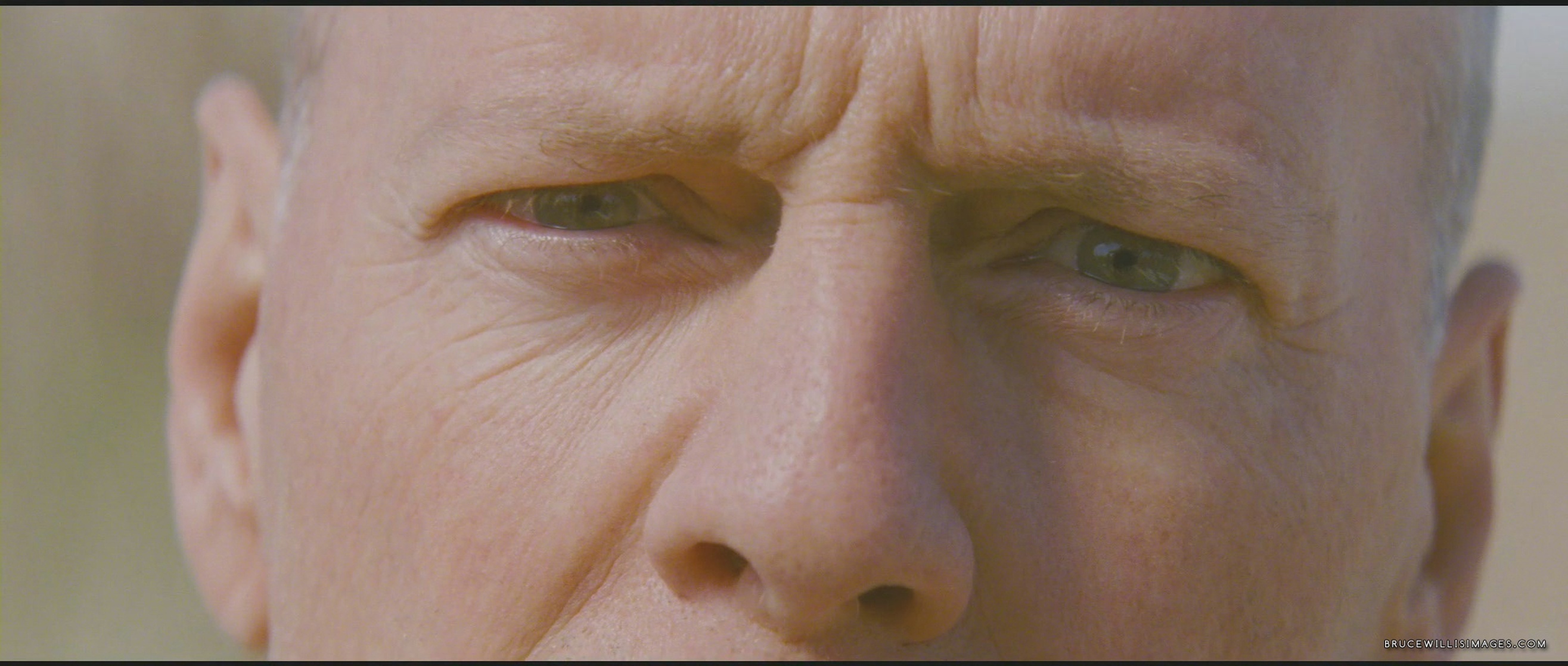 Picture of Looper