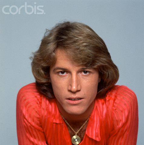 Picture of Andy Gibb