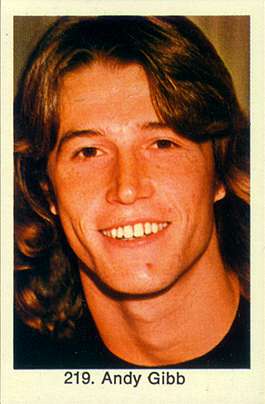 Picture of Andy Gibb
