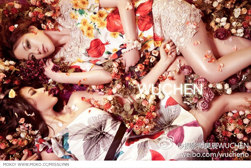 Picture of Chen Lin (Lynn Chan)