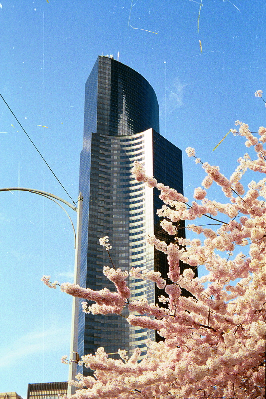Columbia Tower, Seattle Washington