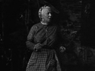 Picture of Fanny Schiller