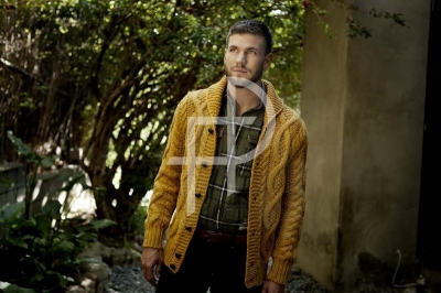 Picture of Austin Stowell