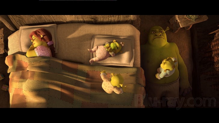 Picture of Shrek Forever After: The Final Chapter - Double Play (Blu ...