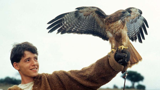 Picture of Ladyhawke