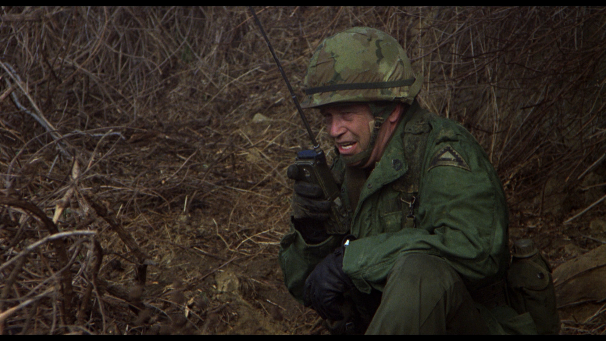 Picture of Stripes (1981)