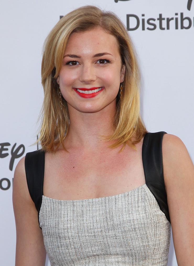 Picture of Emily VanCamp