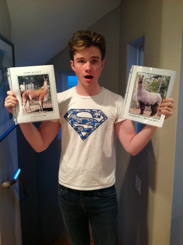 Picture of Chris Colfer