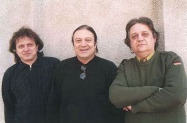 Image of Pasarea Colibri