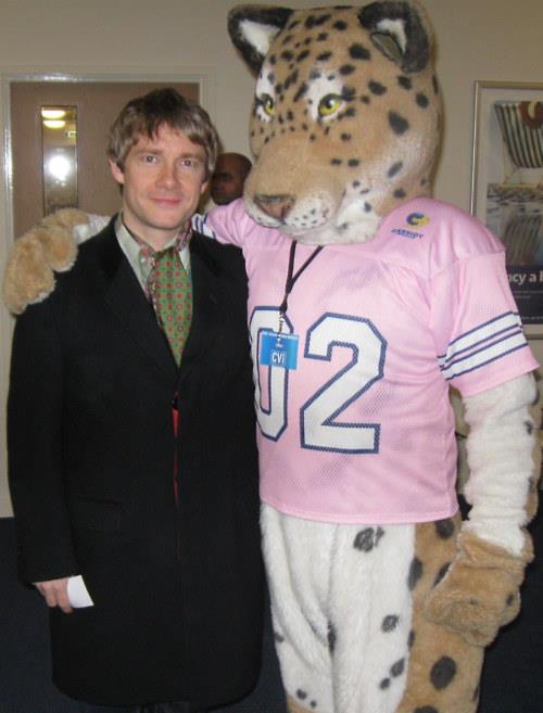 Picture of Martin Freeman