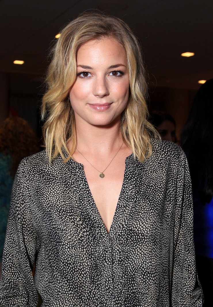 Picture of Emily VanCamp