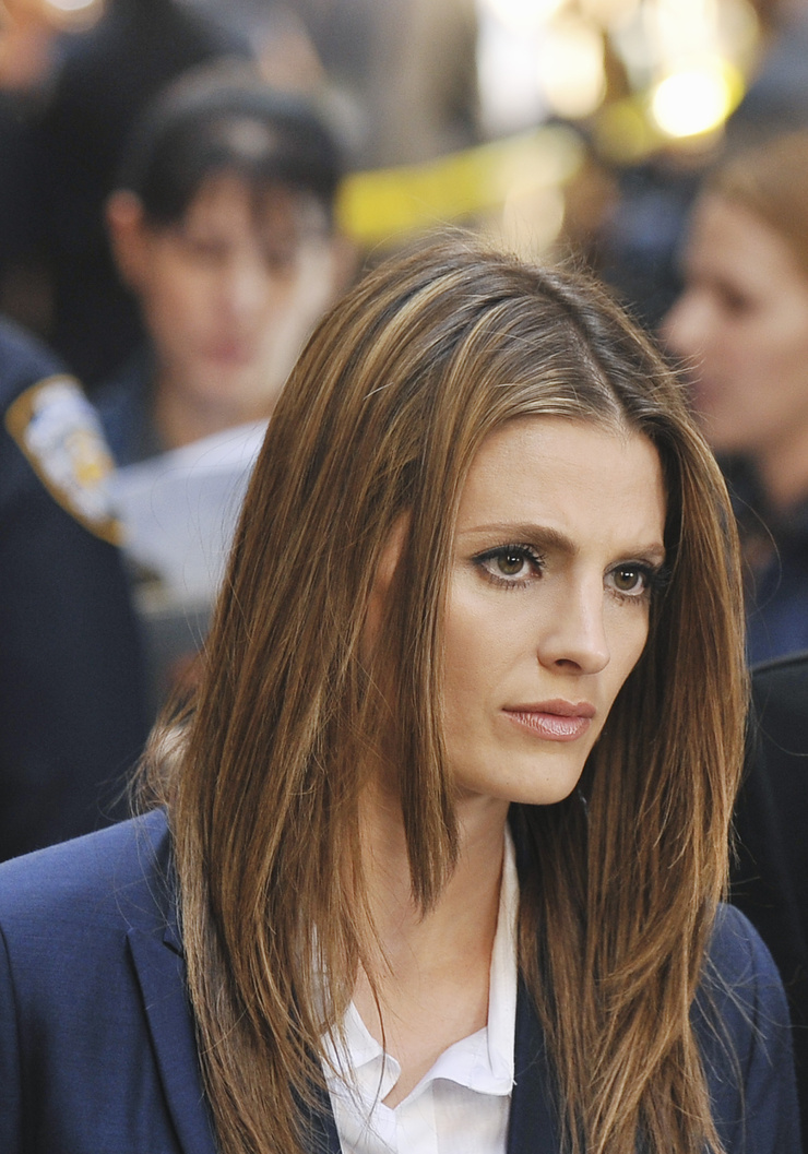 Picture of Stana Katic