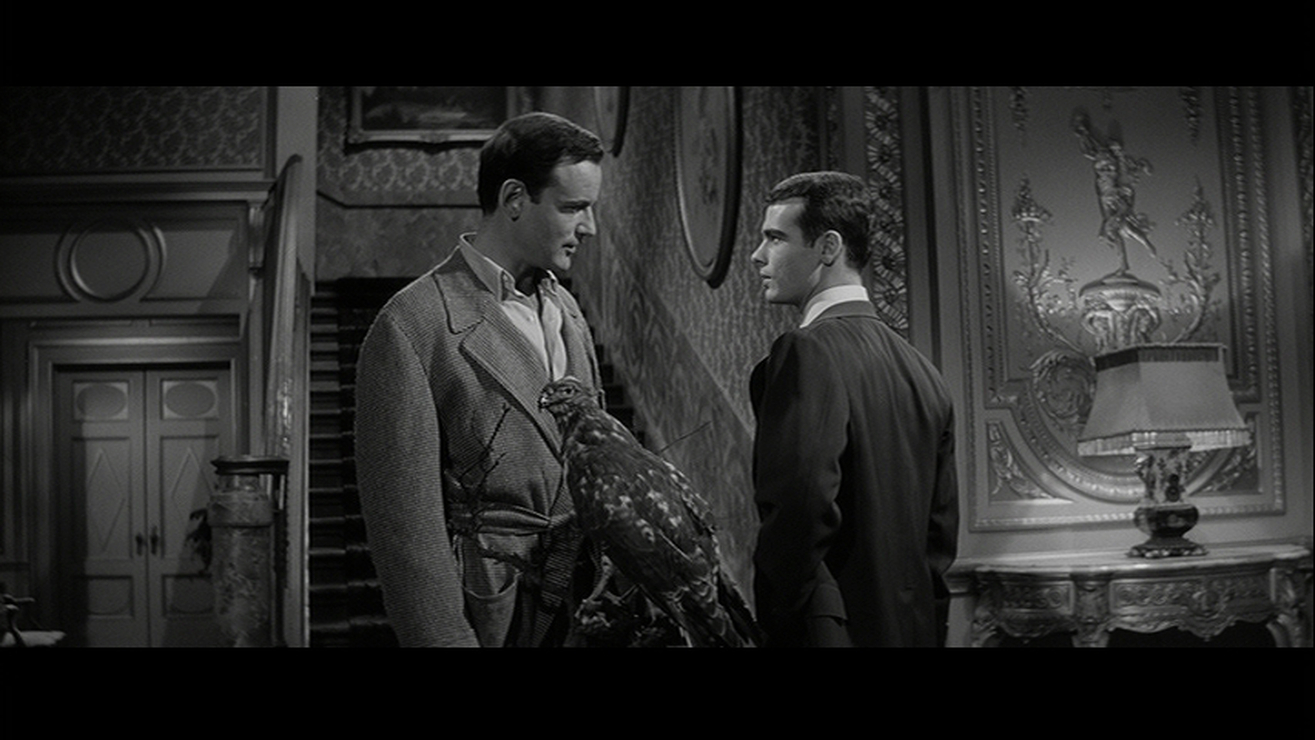 Picture of Compulsion