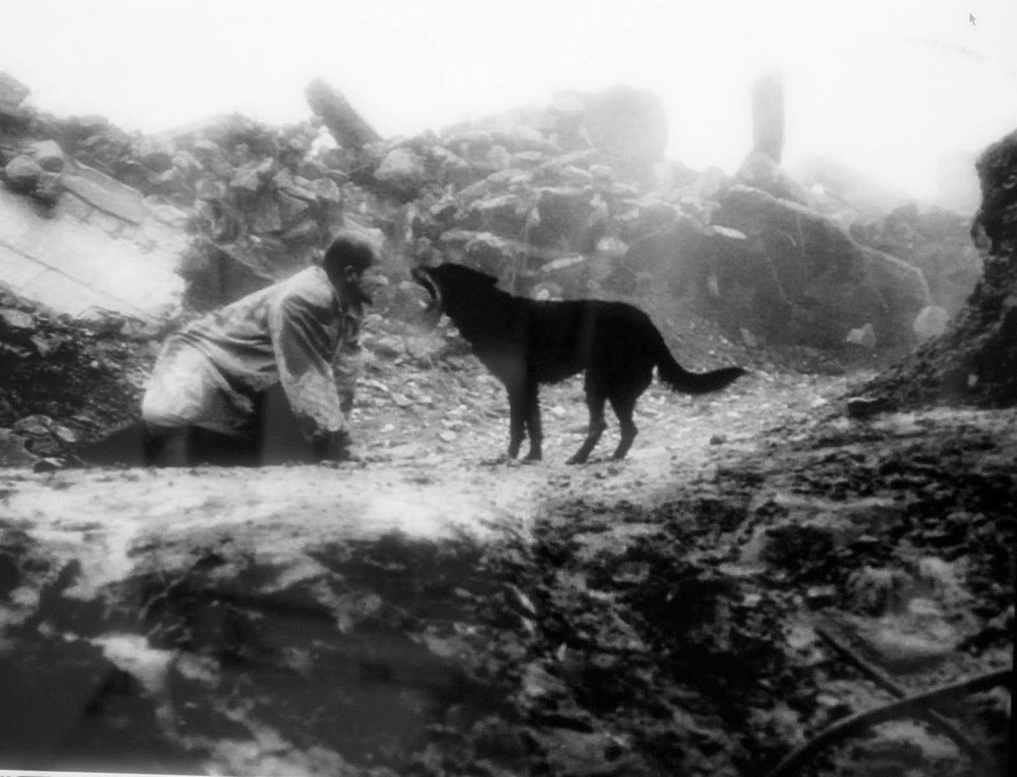 Picture of Damnation