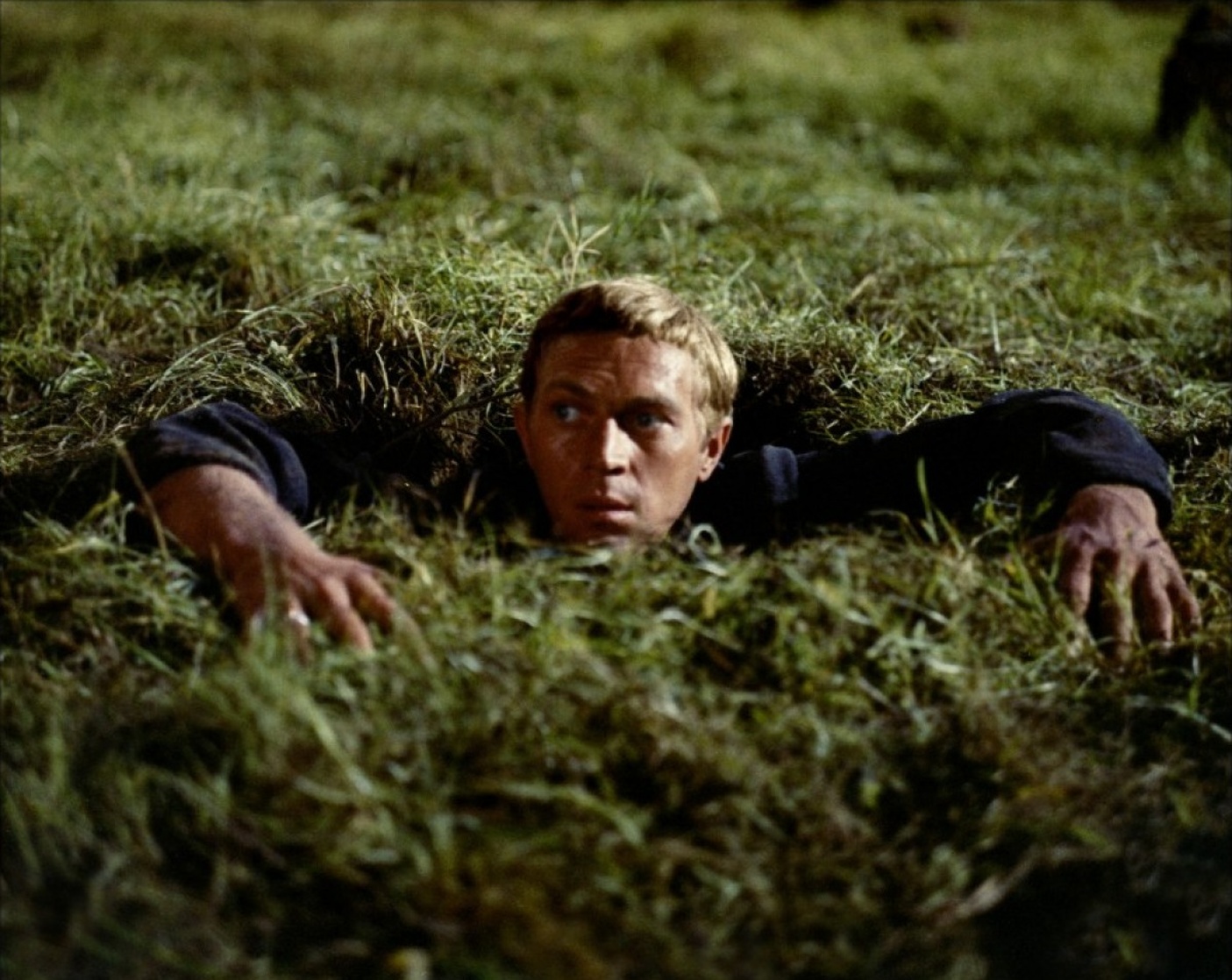 Picture of The Great Escape