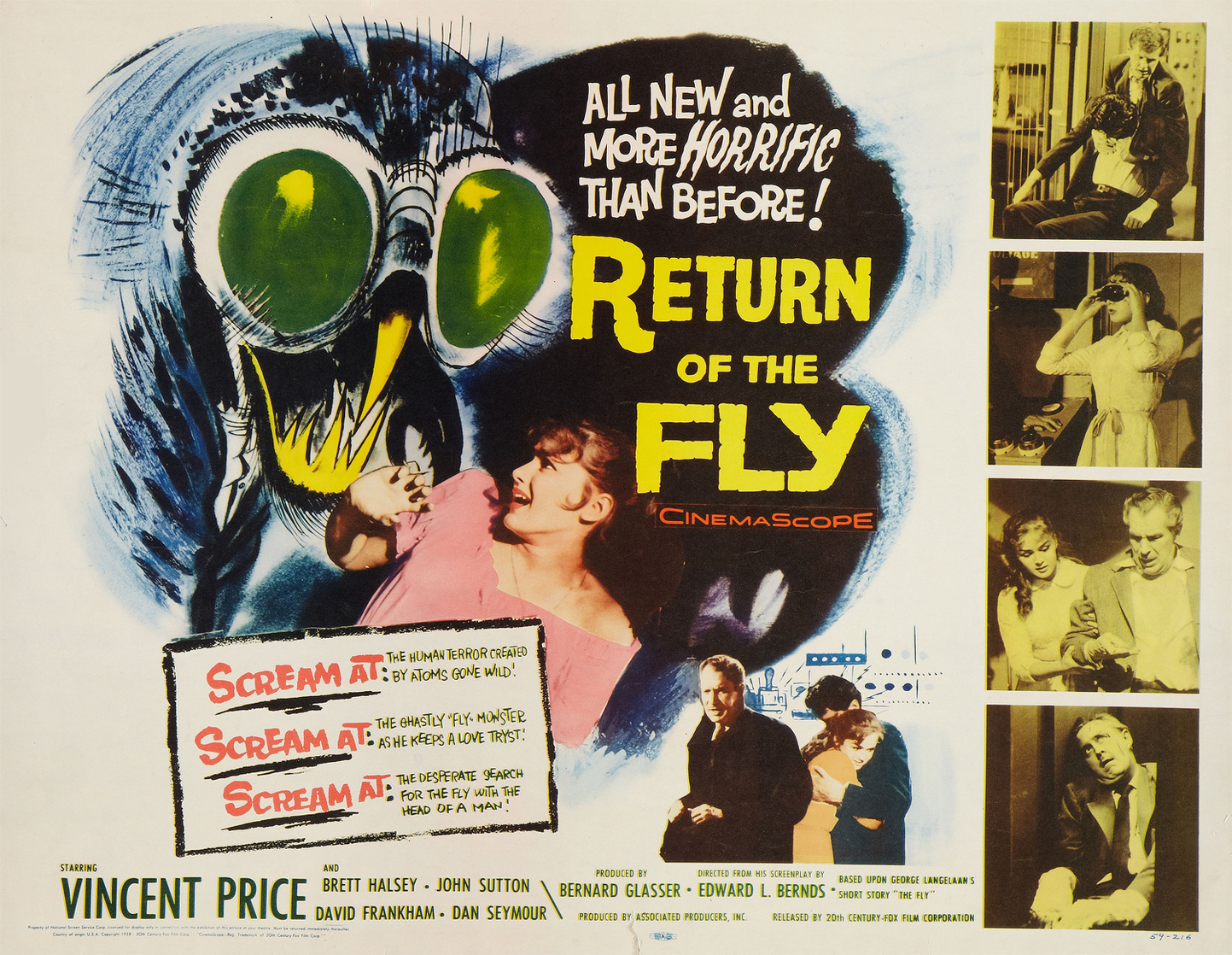 Picture of Return of the Fly