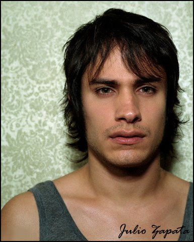 Gael García Bernal image