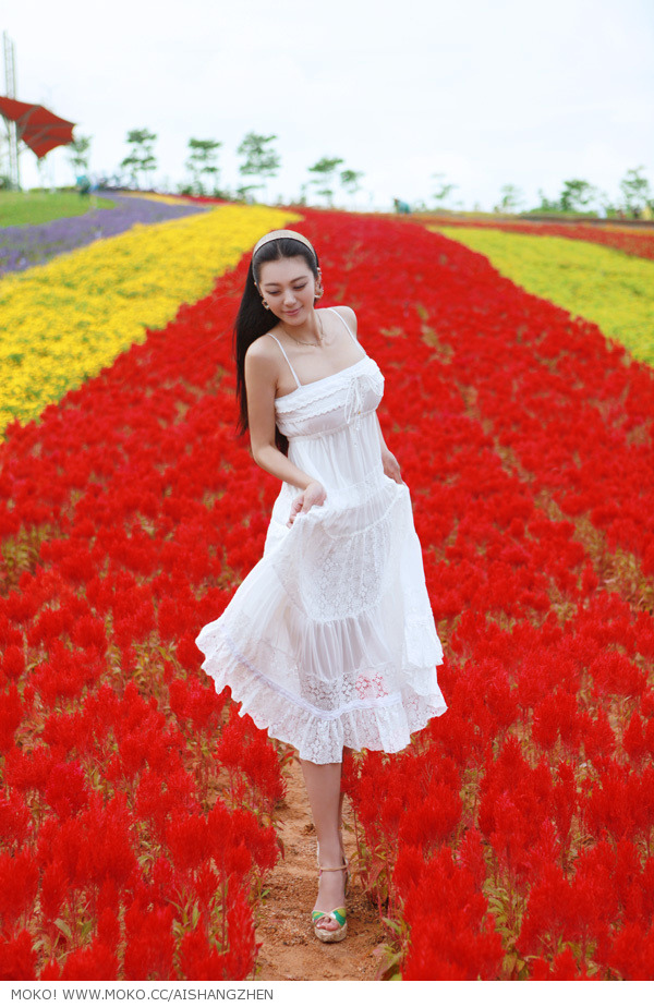Picture of Ai Shang Zhen