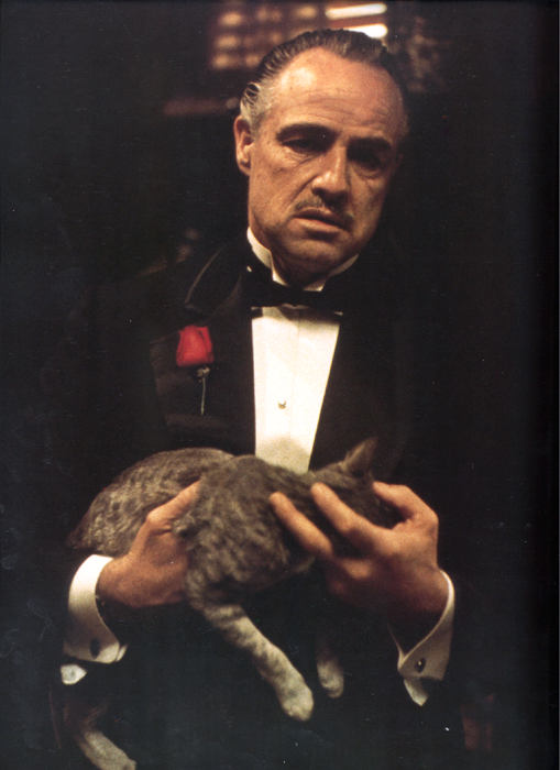 Picture of The Godfather (1972)
