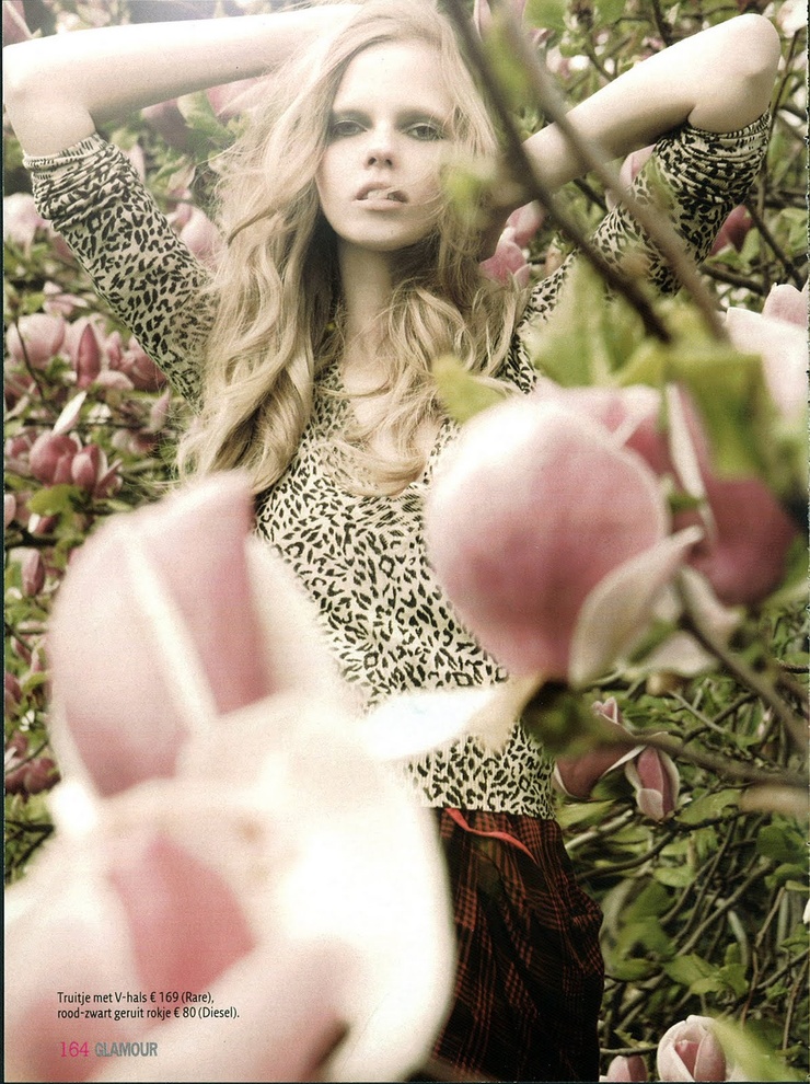 Alex Sander II picture