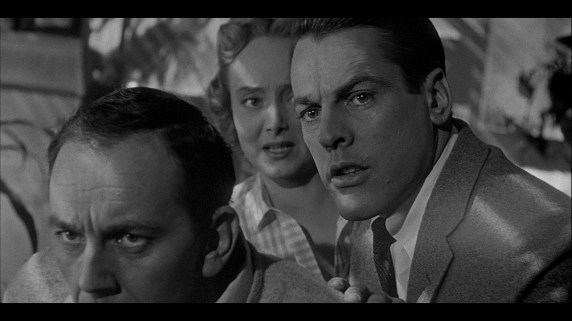 Picture of Invasion of the Body Snatchers (1956)