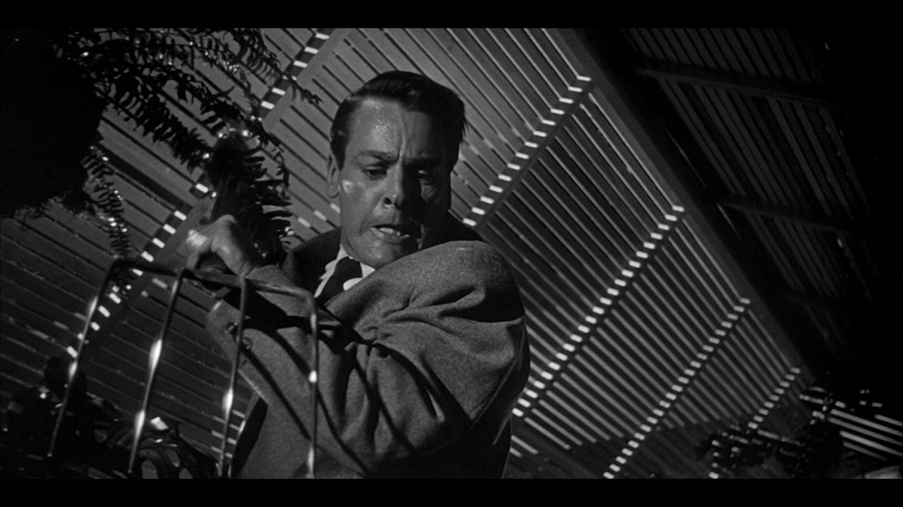 Invasion of the Body Snatchers (1956) image